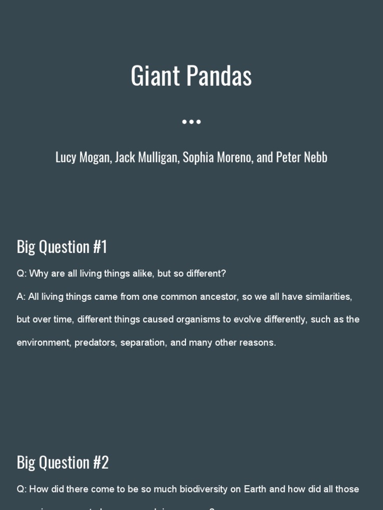 Stem | PDF | Giant Panda | Evolution