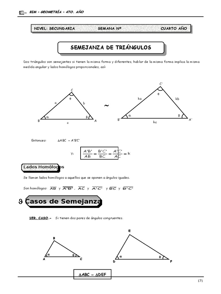 CUARTO de SECUNDARIA (Semejanza de Tri Ngulos) | PDF | Números | Politopos