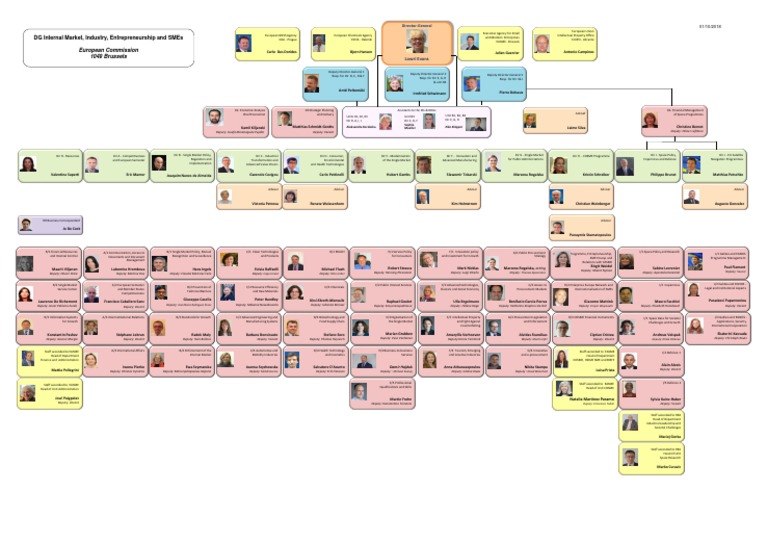 Organisation Chart DG Grow en | PDF | European Union | Science And ...