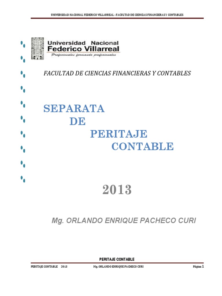 Peritaje Contable Pdf Pdf Contador Testigo Experto