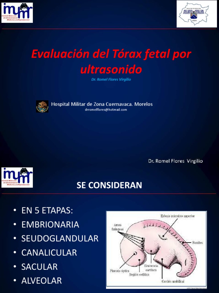 Evaluación del Tórax Fetal por Ultrasonido | PDF | Pulmón | Feto