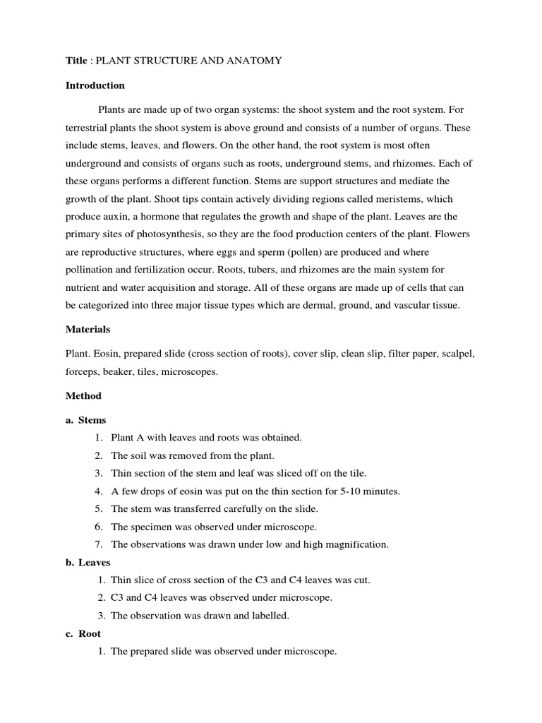 Lab Report Plant Physiology | PDF | Tissue (Biology) | Leaf