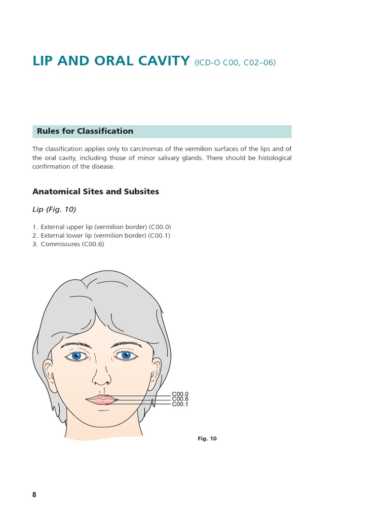 Lip and Oral Cavity: Rules For Classification | PDF | Primate Anatomy ...