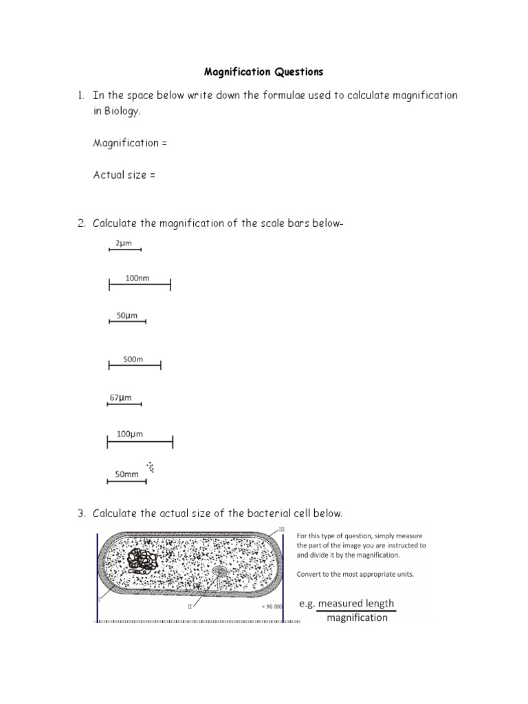 Magnification Questions.docx