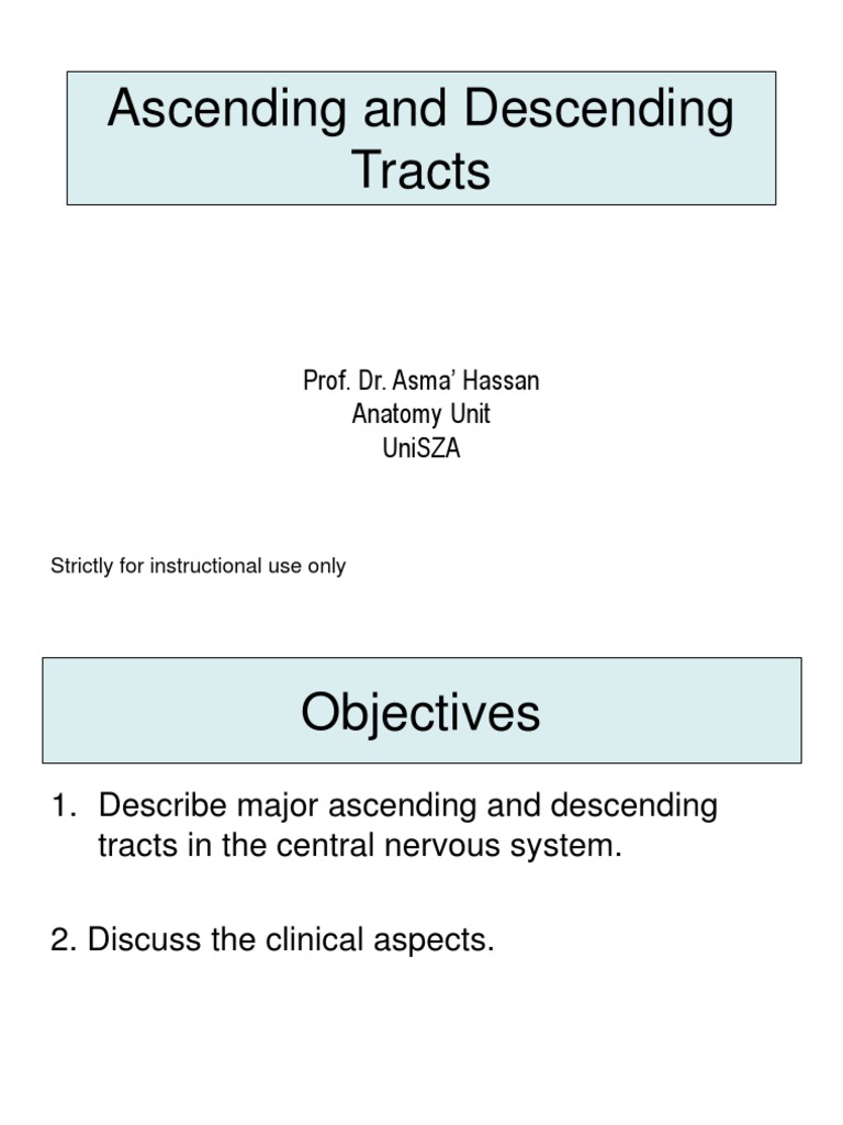 Ascending and Descending Spinal Tracts | PDF | Spinal Cord | Brainstem