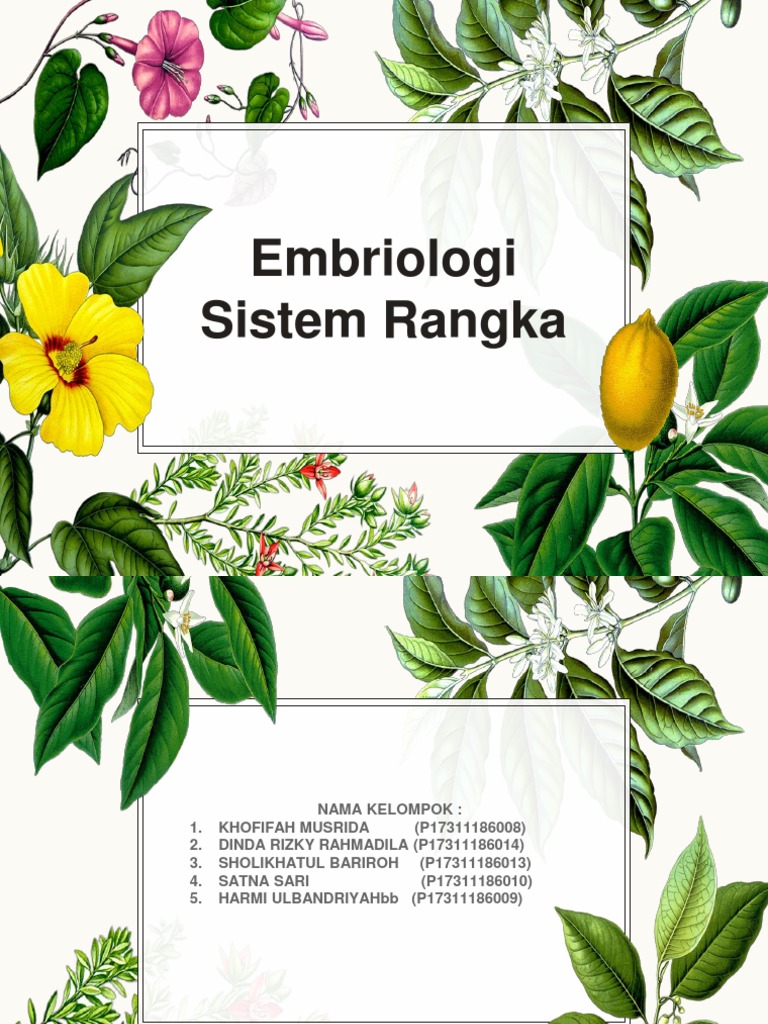 1 PPT Embriologi Sistem Rangka Otot | PDF