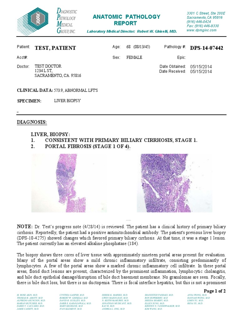Liver Sample Report | PDF | Cirrhosis | Liver