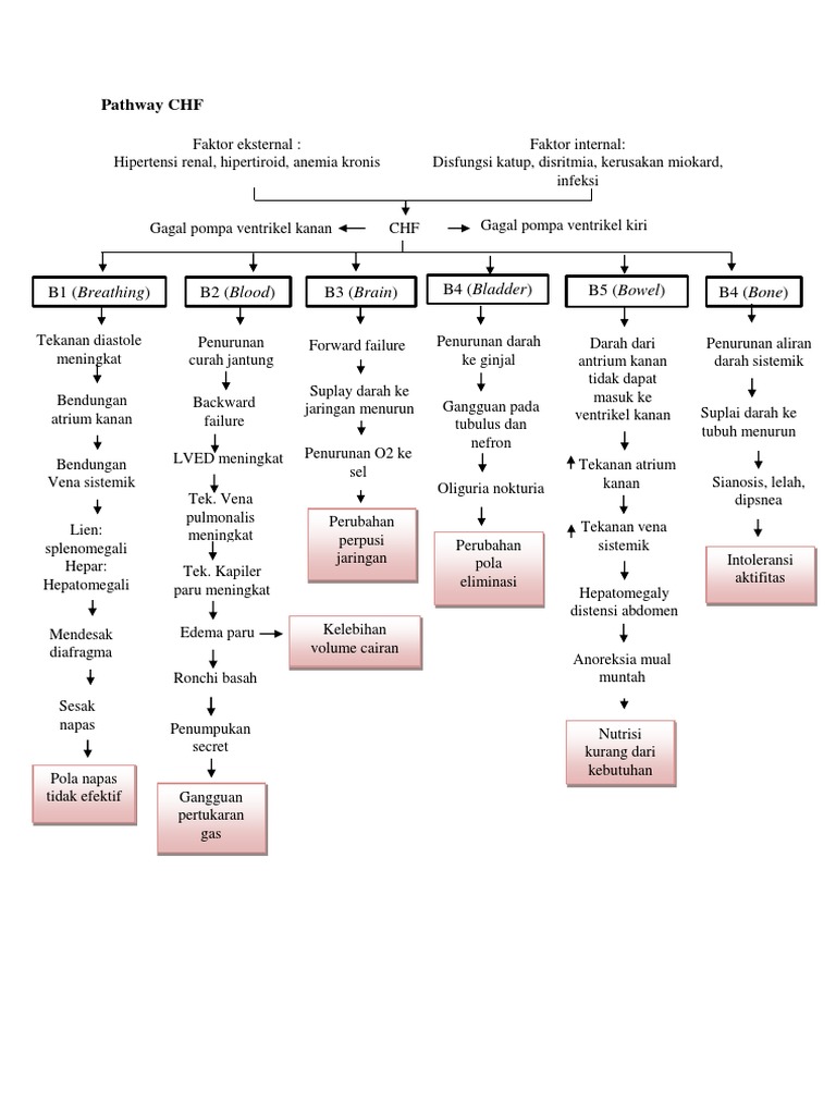 Pathway CHF b1-6 Fix | PDF