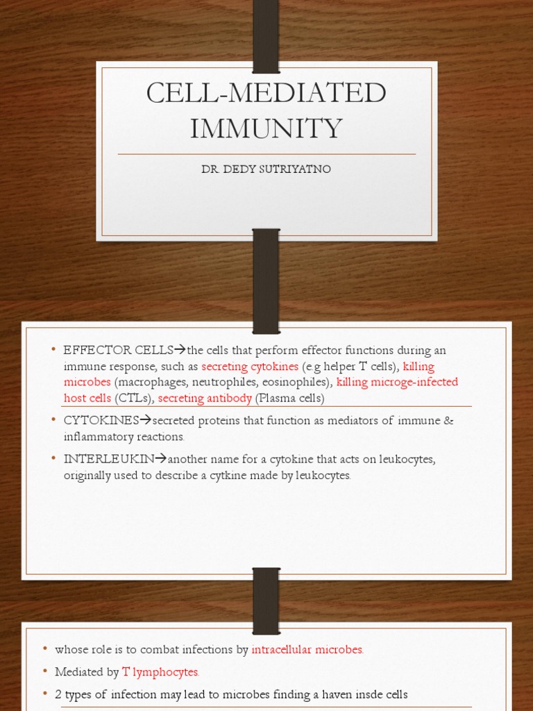 Understanding Cell-Mediated Immunity | PDF | T Cell | Cytotoxic T Cell