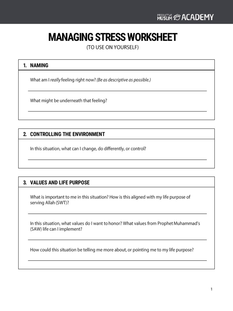 Stress Management Worksheet Guide | PDF