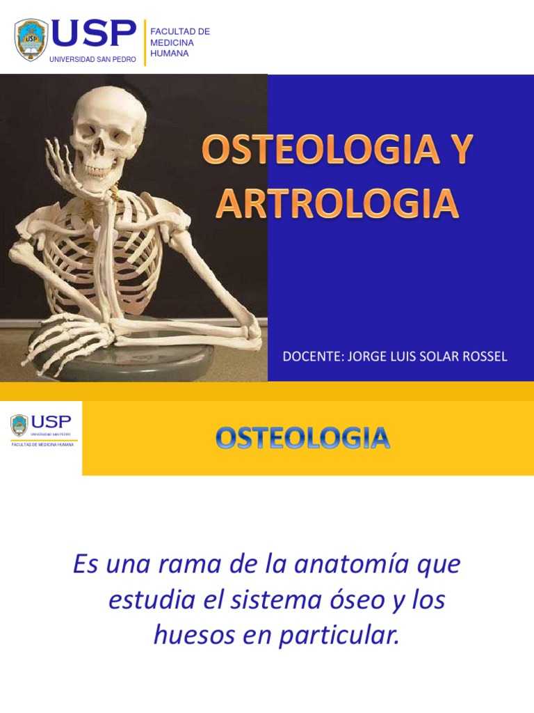 Anatomia Clase 2- Osteologia y Artrologia General | Articulación ...