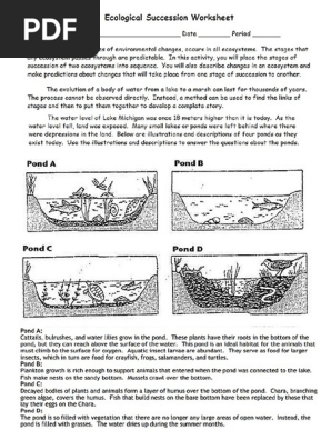 Ecological Succession Worksheet High School Ecological Succession