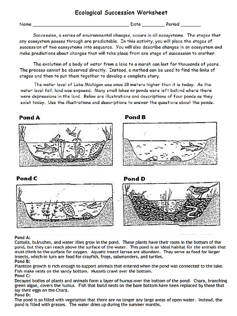 Ecological Succession Worksheet | PDF
