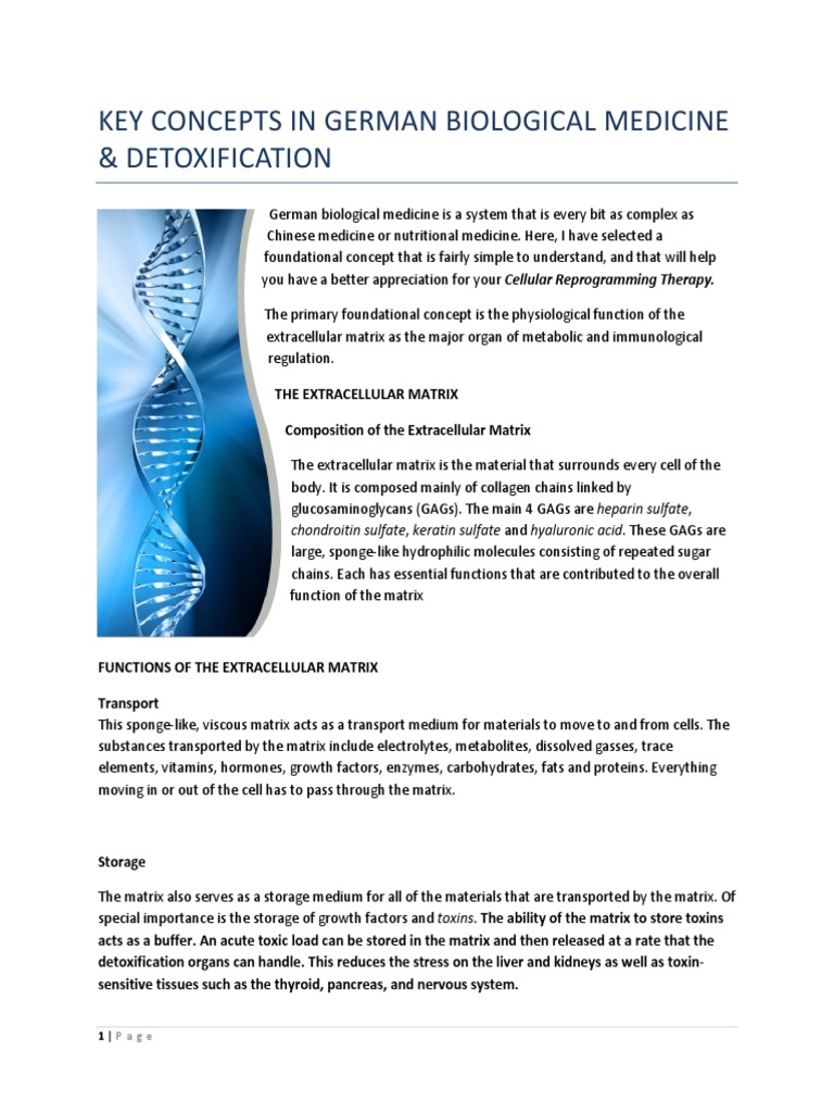 Key Concept | PDF | Matrix (Biology) | Extracellular Matrix