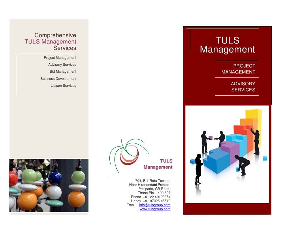 TULS Management: Project Advisory Services | PDF | Mergers And ...