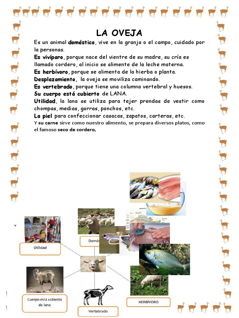 La Oveja 8878997955 | PDF | Pescado | Oveja