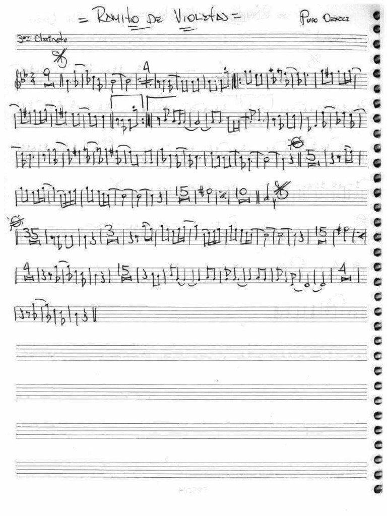 Ramito de Violetas Puro Oaxaca PDF | PDF