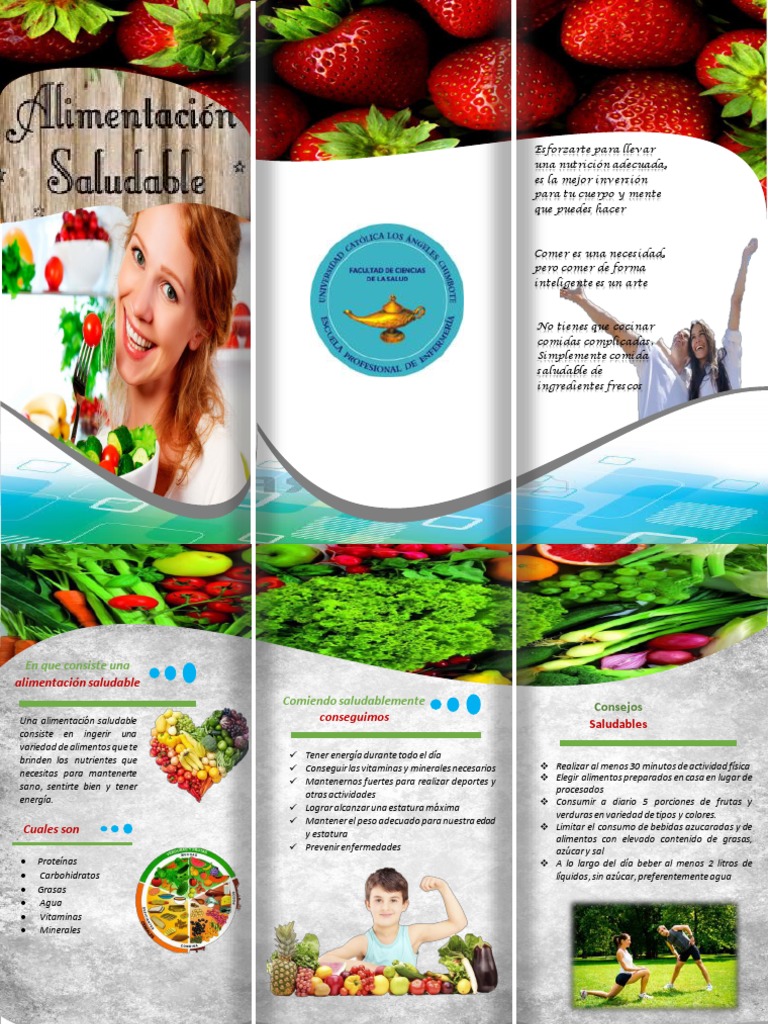 Triptico Alimentacion Saludable | PDF