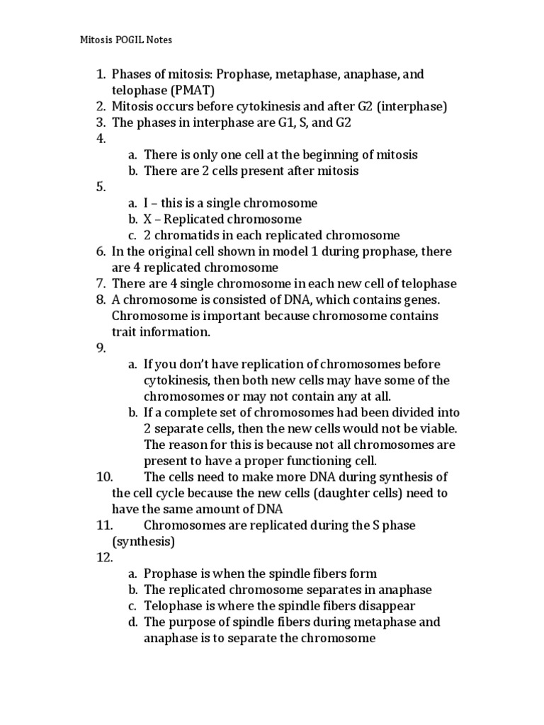 Mitosis POGIL Notes | PDF | Mitosis | Life Sciences