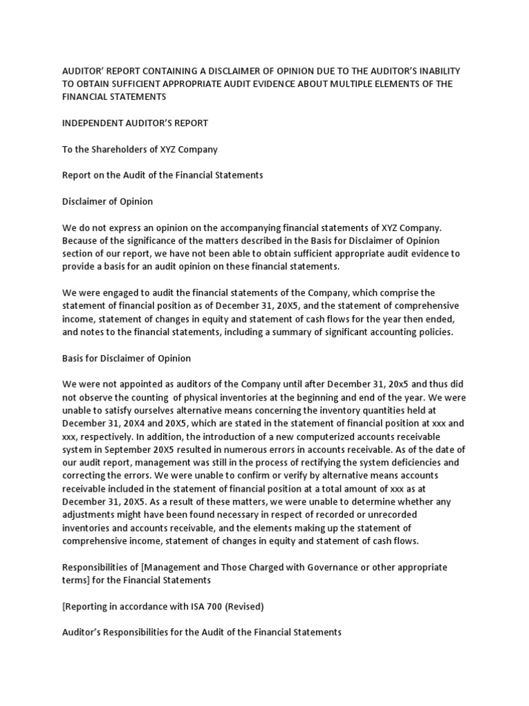 Disclaimer | PDF | Auditor's Report | Audit