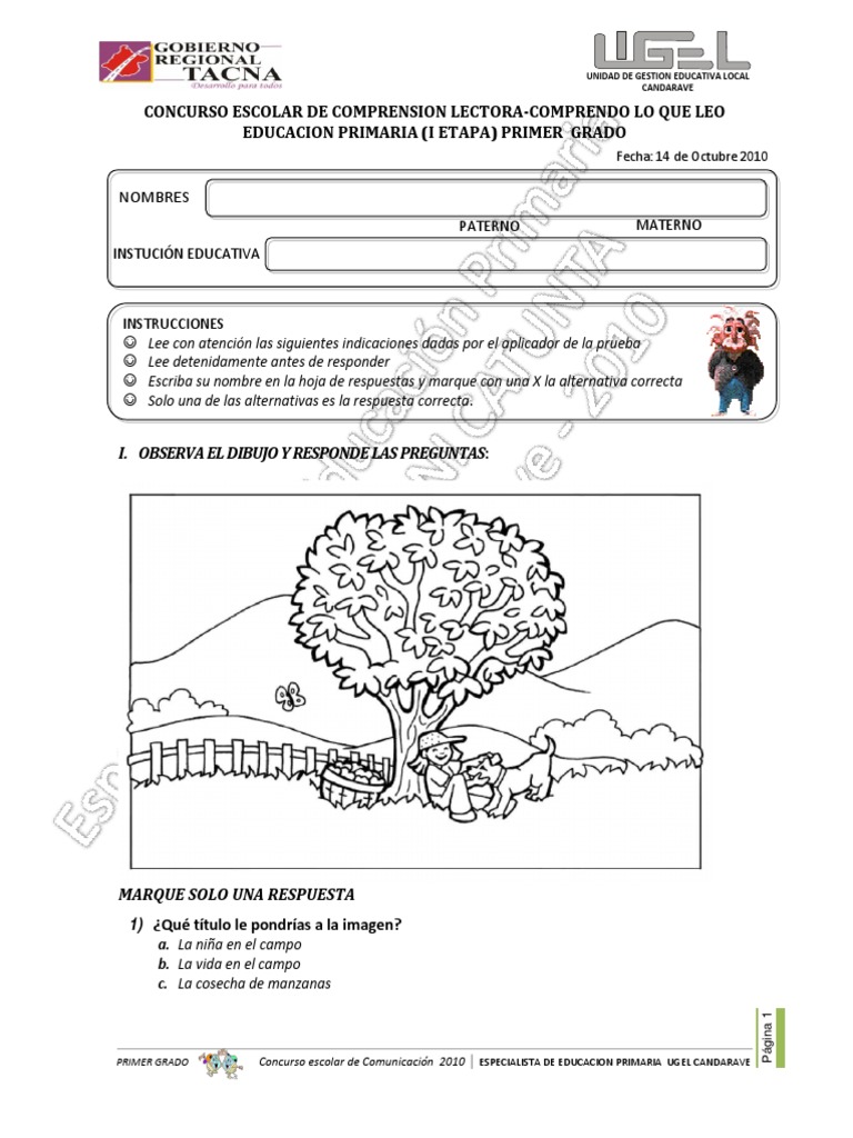 Pruebas De Lectura De Primer Grado