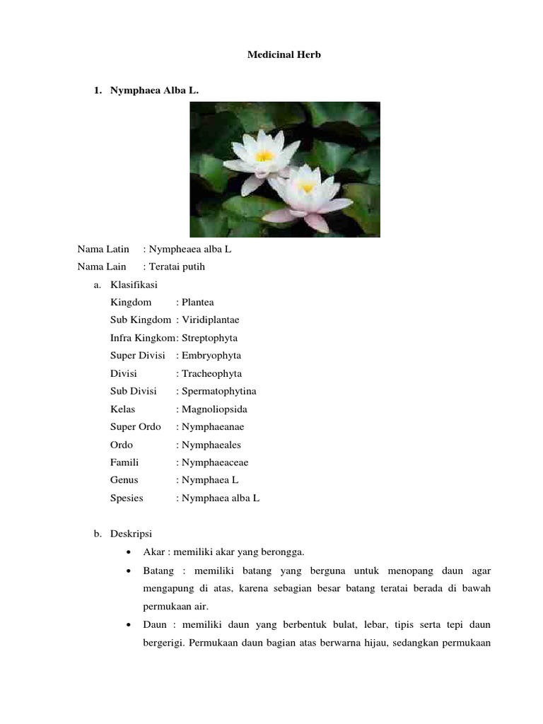VBNM | PDF