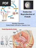 Reproductive System Practical Report | PDF | Menstrual Cycle | Testicle