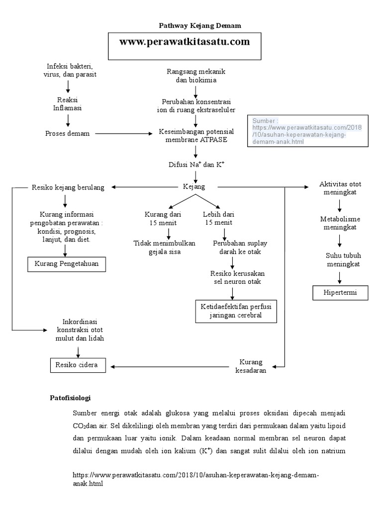 Pathway Kejang Demam Anak Lengkap | PDF
