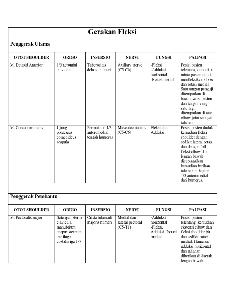 Gerakan Fleksi | PDF