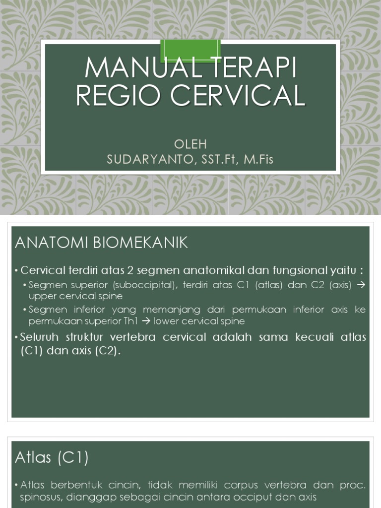 Terapi Manual | PDF