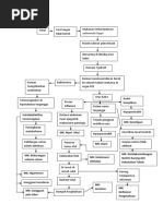Pathway Febris | PDF