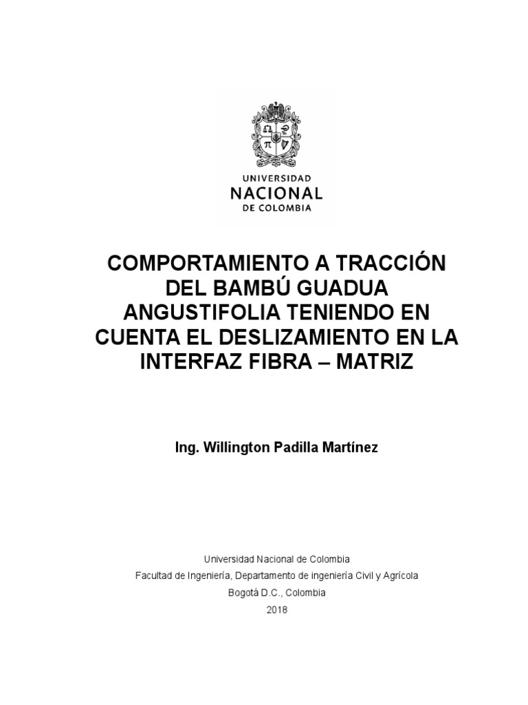 Norma E 100 Bambú Pdf Elasticidad Física Plasticidad Física
