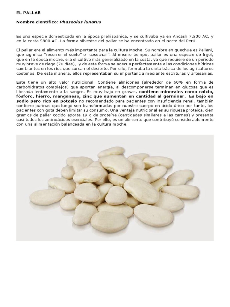 El Pallar | PDF | Lenteja | Legumbre