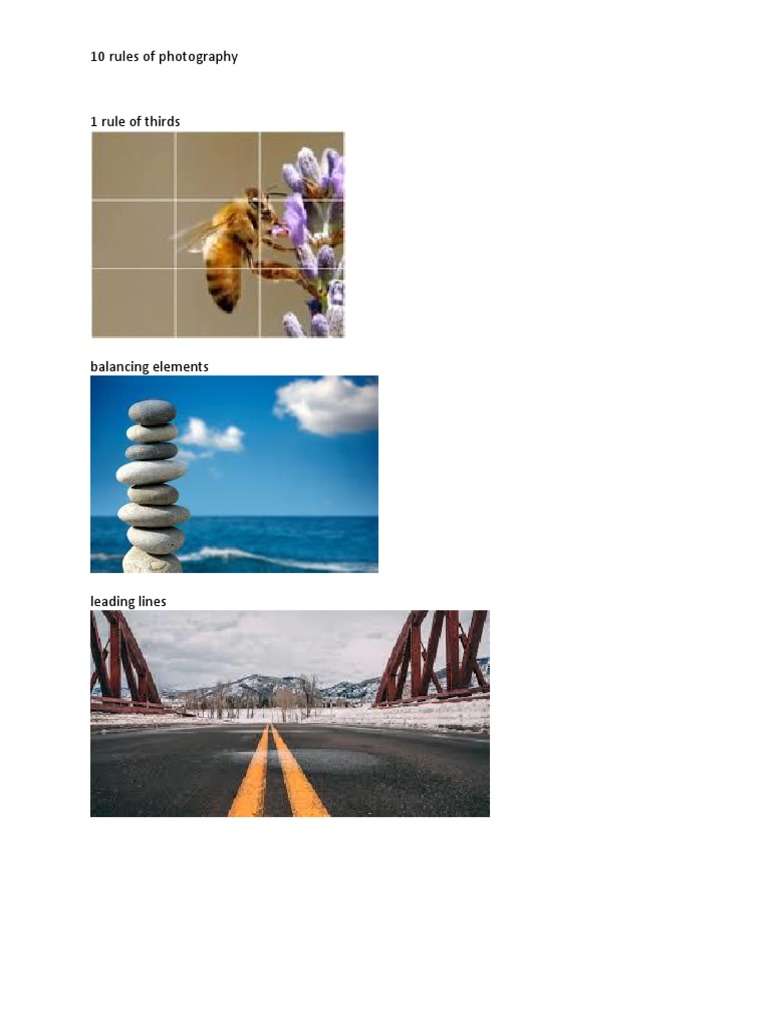 10 Rules of Photography | PDF