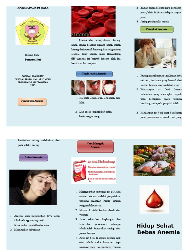 Leaflet Anemia | PDF