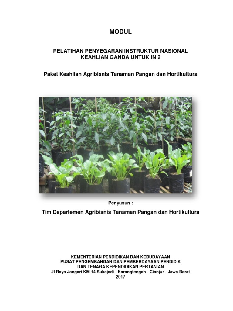 Modul Penguatan In-Kg-2017 Atph | PDF