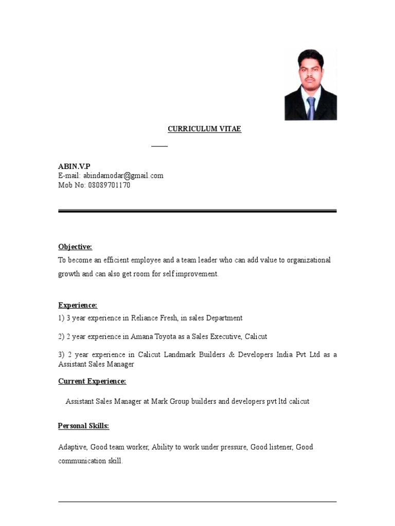 Abin.V.P: Curriculum Vitae | PDF | Career & Growth