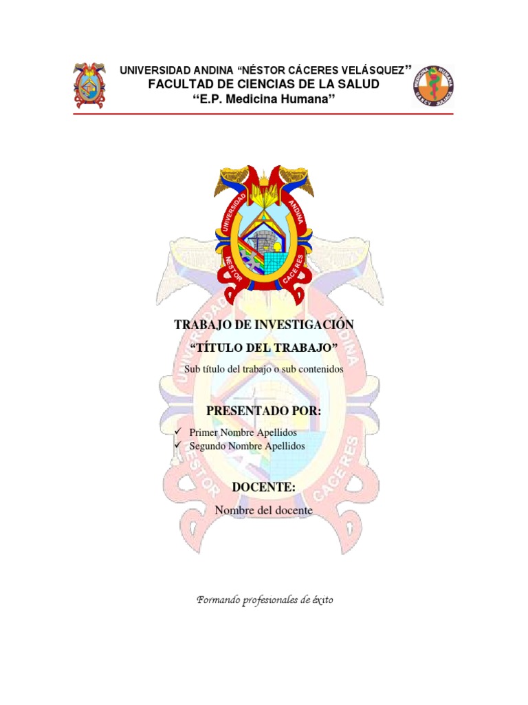 Uancv Caratulas | PDF | Ingeniería | Ciencia y Tecnología