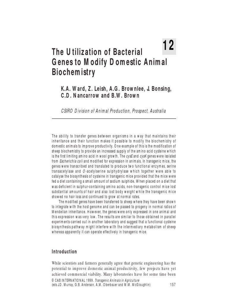 Transgenic Animal Farm | PDF | Northern Blot | Gene