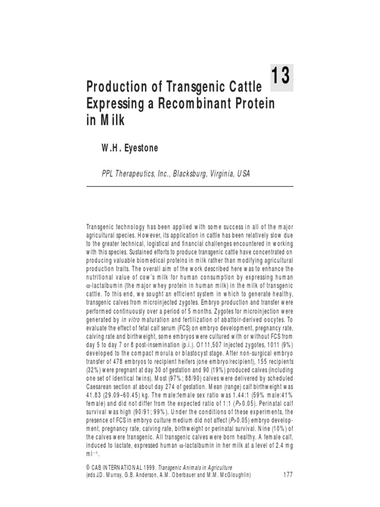 Transgenic Animal Farm | PDF | Calf | Transgene