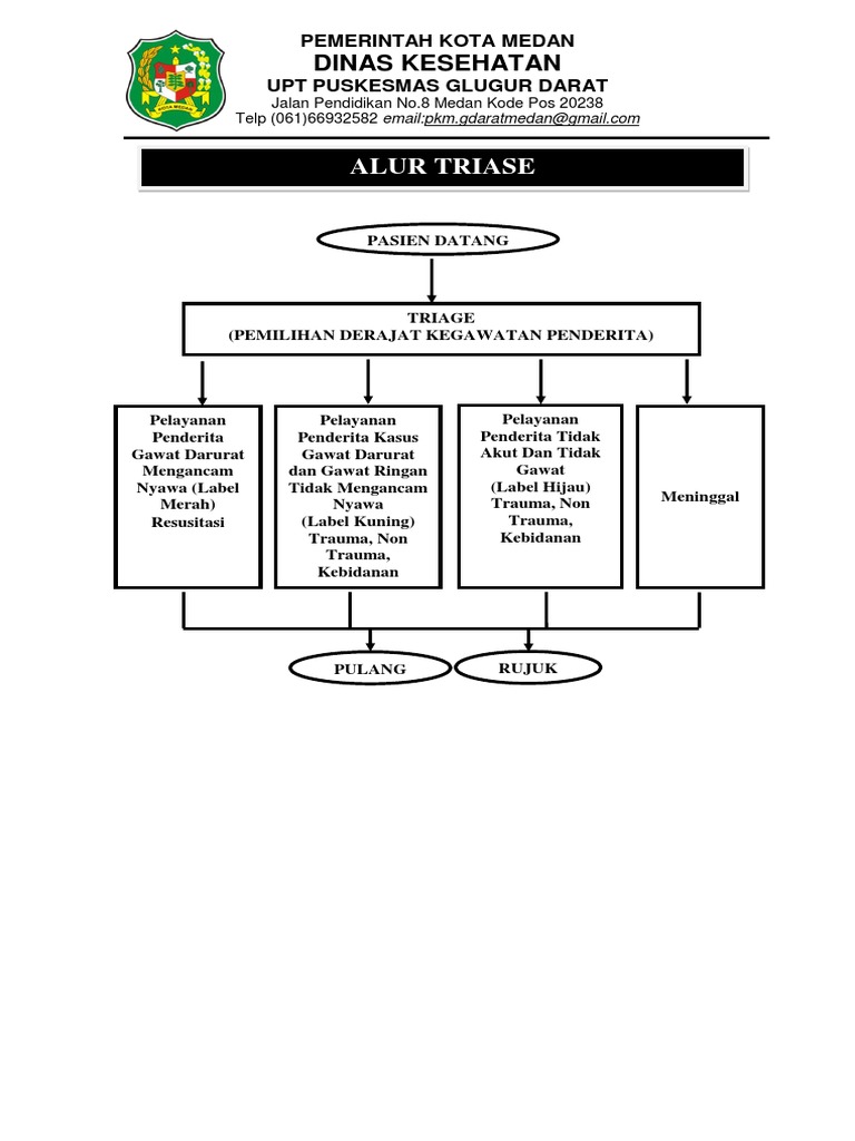 Alur Triase | PDF
