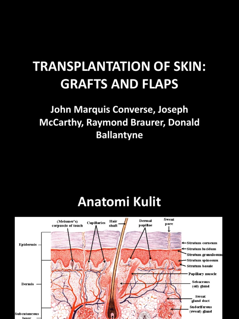 Skin Transplantation | PDF | Skin | Clinical Medicine