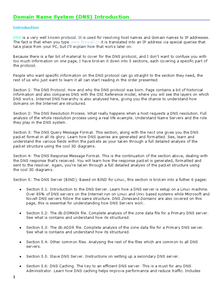 3-3 PROTOCOLS-Domain Name System | PDF | Domain Name System | Domain Name