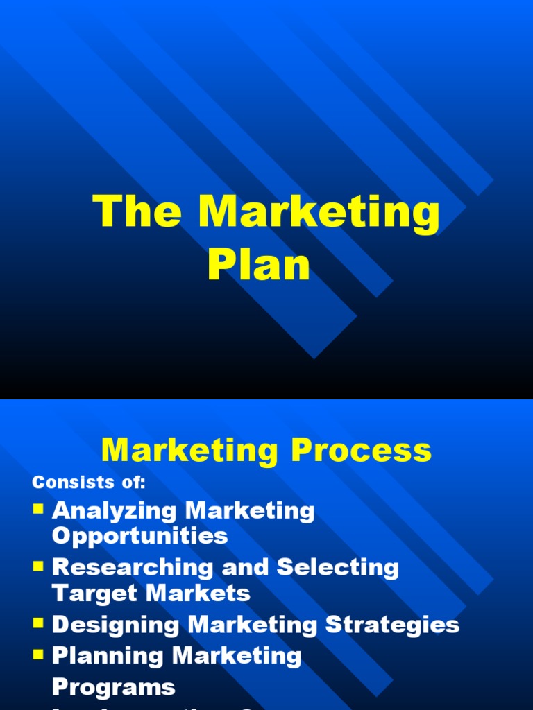 Comprehensive Marketing Plan Guide | PDF