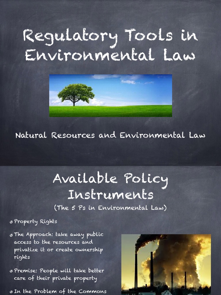 2 Regulatory Tools | PDF | Externality | Subsidy