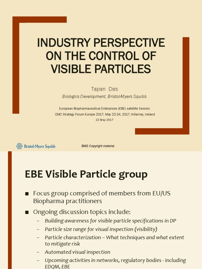 Acceptance Quality Limits and Visual Inspection | PDF | Monoclonal ...