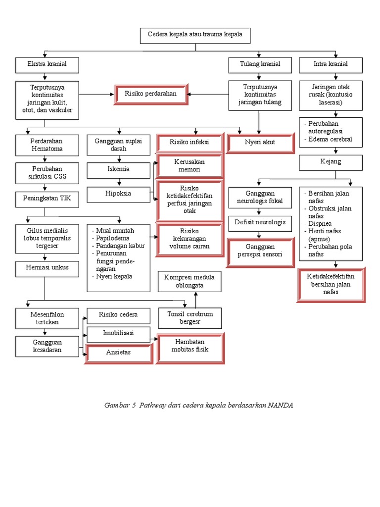Pathway Cedera Kepala dan Stroke | PDF