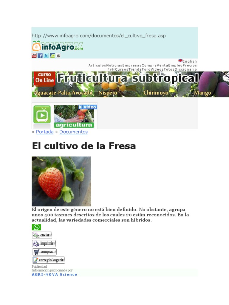 El Cultivo de Fresa | PDF | fresa | Insectos beneficiosos