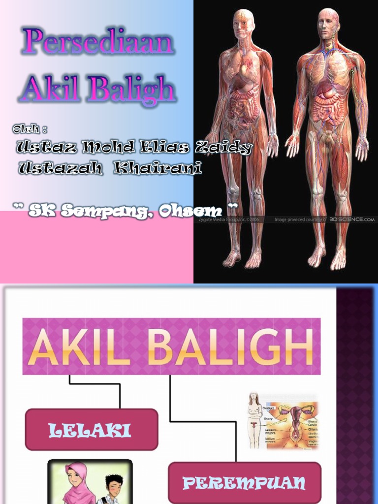 Persediaan Akil Baligh | PDF | Gaya Hidup