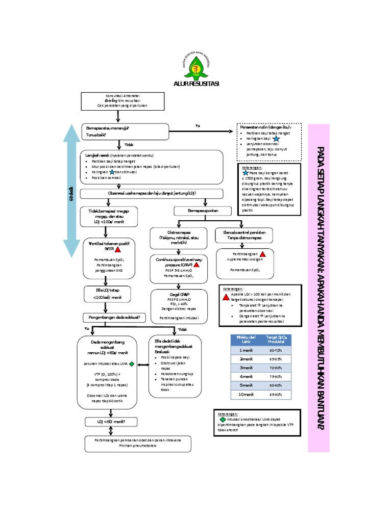 Alur Resusitasi Neonatus IDAI.docx